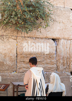 jewish men reading the torah at the wailing wall Jerusalem Israel ...