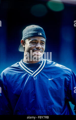 Seattle Mariners Ken Griffey Jr. (24) in action during a game from ...