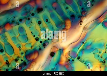 Ice crystals under the microscope and in polarised light Stock Photo ...