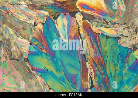 Sugar crystals under microscope, light micrograph, close-up view Stock ...
