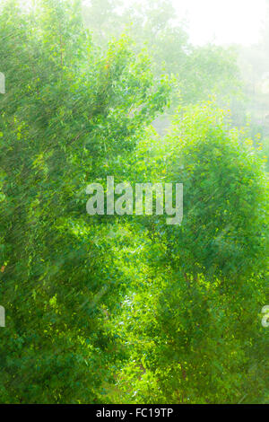 Rainy outside window green background texture Stock Photo - Alamy