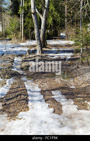 Spring thawed patch in the ice of the river. Frozen ice and snow by the ...