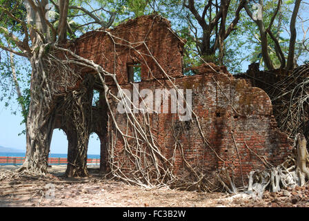 Ross Island tree roots ruins abandoned ; Netaji Shubash Chandra Bose ...
