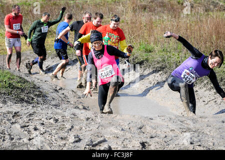 Runners crossing muddy obstacles at obstacle course race, UK Stock ...