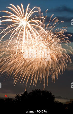 Fourth of July fireworks display in Boise, Idaho, USA Stock Photo - Alamy