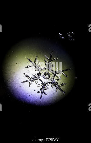 Melting snowflakes in a beam of light Stock Photo - Alamy