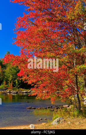 Tunk Lake, Maine Public Reserve Land, Cherryfield, Maine, USA Stock ...