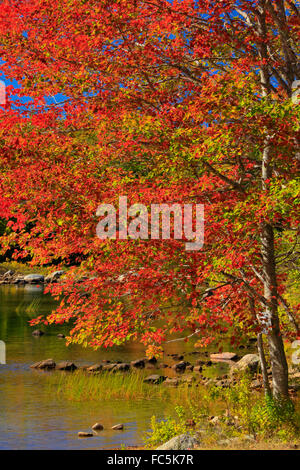 Tunk Lake, Maine Public Reserve Land, Cherryfield, Maine, USA Stock ...