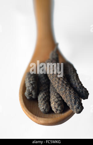 long pepper (Piper longum), dried fruits Stock Photo - Alamy