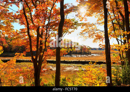 Rachel Carson National Wildlife Refuge during the autumn months in ...