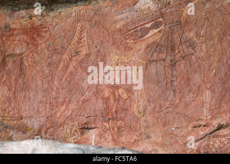 X-ray style fish at the Aboriginal rock art site at Ubirr Rock, Kakadu National Park, Northern ...