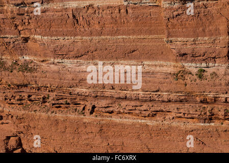 'The Old Red Sandstone' is a geological text that focuses on the ...