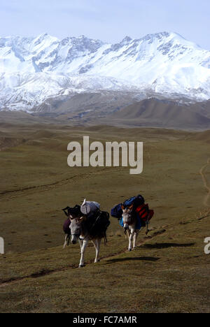 Aletai Xinjiang spring Stock Photo - Alamy