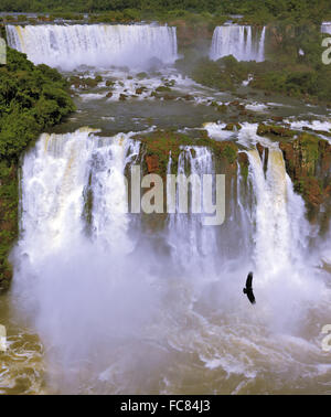 Waterfalls and birds. Brazil Stock Photo - Alamy
