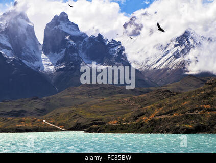 Chile, Patagonia - Glacier Condor Stock Photo - Alamy