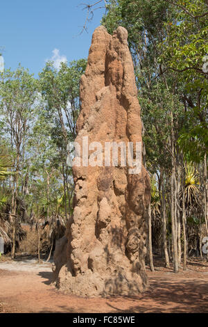 Cathedral termite mound (Nasutitermes triodiae) in typical savanna ...