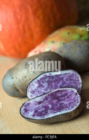 Potato Cultivar Congo/Blauer Schwede Stock Photo - Alamy