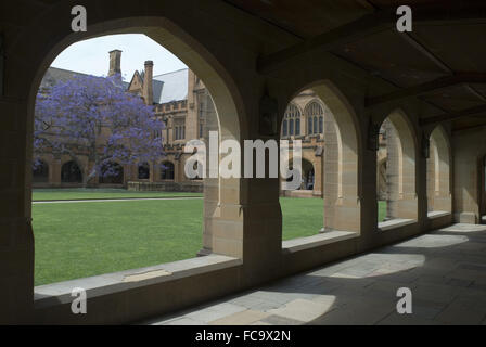Sydney University Quadrangle Stock Photo - Alamy