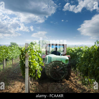 Tractor spraying a chemicals on the field Stock Photo - Alamy