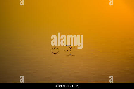 Sunset over Isle of Palms, South Carolina at intracoastal waterway ...