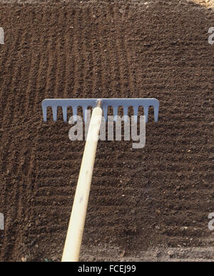 Soil being raked to cover newly sowed grass seeds Stock Photo - Alamy