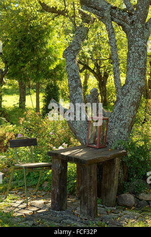 Wooden chair in garden under shade of sunlight Stock Photo - Alamy