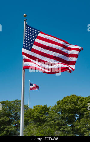 two flags flying: flag of United States of America, and flag of the ...