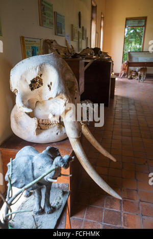Interior of Visitor Center Museum at Kazinga Channel, Uganda Stock ...