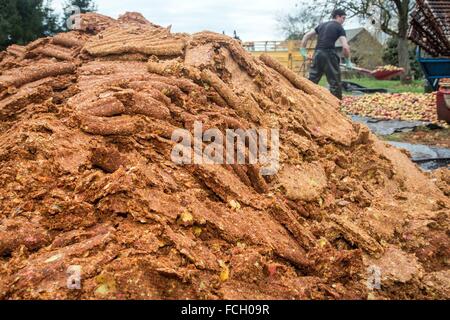 THE MAKING OF FARM CIDER, NORMANDY, FRANCE Stock Photo - Alamy