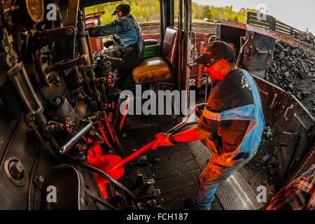 Stoking the fire with coal on a narrow gauge steam locomotive at the ...