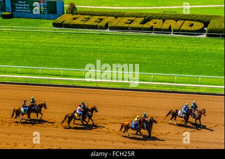 Thoroughbred horse racing, Keeneland Racecourse, Lexington, Kentucky ...