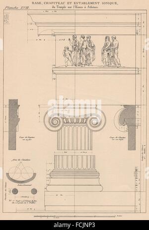 IONIC ARCHITECTURE: Base, Capital and Entablature (Vignola 1507-1573 ...