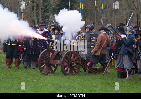 'Sealed Knot' Musketeers 17th century English Civil War period; Massed ...