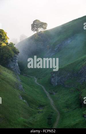 A misty autumn morning on the slopes of Surprise View in the Derbyshire ...