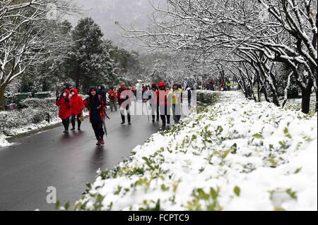Taipei's Taiwan. 24th Jan, 2016. Tourists view the snow at the Yangming ...