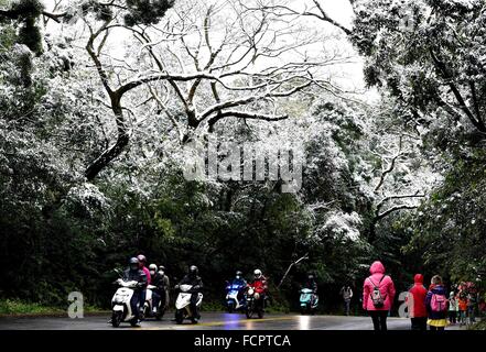 Taipei's Taiwan. 24th Jan, 2016. Tourists view the snow at the Yangming ...