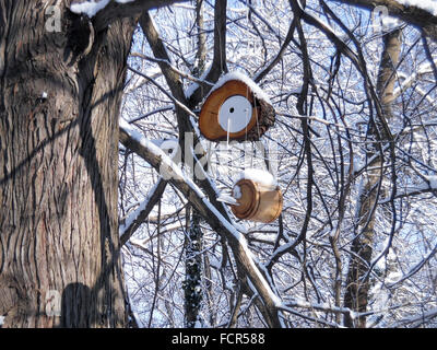 Wood bird house bird nest hanging on a tree with nature tree forest ...