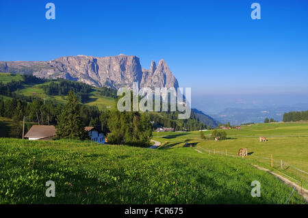 der Berg Schlern in Südtirol, italienische Dolomiten - mountain Schlern ...
