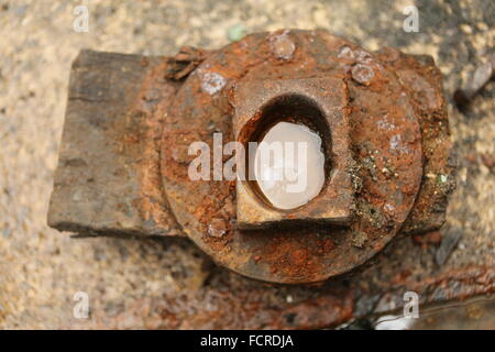 Kentish Town Locks open to the public Stock Photo - Alamy