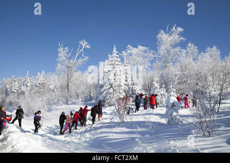 Hailin, Hailin, CHN. 23rd Jan, 2016. Beautiful views of ice and snow in ...