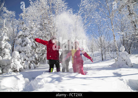 Hailin, Hailin, CHN. 23rd Jan, 2016. Beautiful views of ice and snow in ...