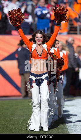 Denver, Colorado, USA. 24th Jan, 2016. A Denver Bronco Cheerleader ...