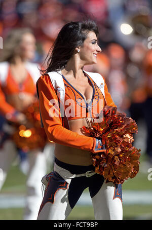 Denver, Colorado, USA. 24th Jan, 2016. Denver Broncos Cheerleaders ...