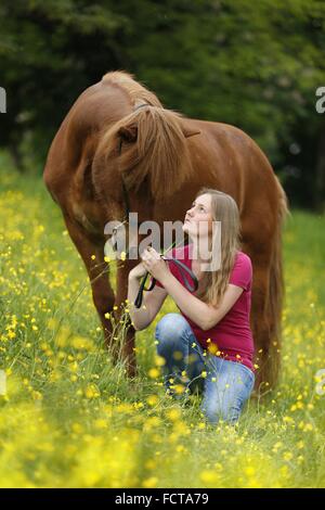 standing Icelandic Horse Stock Photo - Alamy