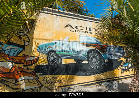 Graffiti art for Acid Cigars, a hip Drew Estate blend in this northern ...