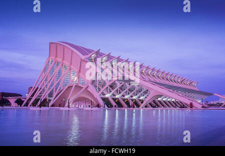 Sciences Museum at night, Valencia, Spain Stock Photo - Alamy