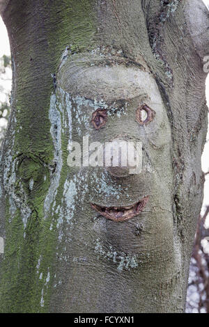 Trunk of a tree that looks like a funny face covered in snow. On April ...