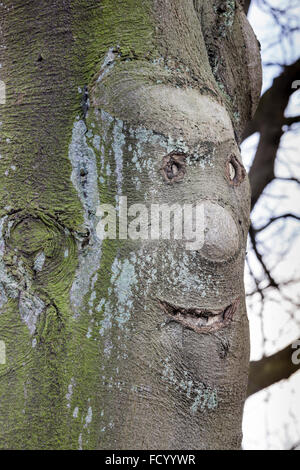 Tree trunk looks like smiling face in golden autumn garden Stock Photo ...