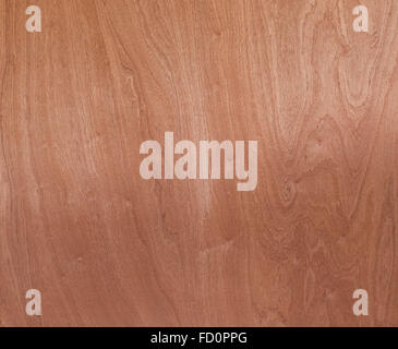 Image of the grain of beech Stock Photo - Alamy