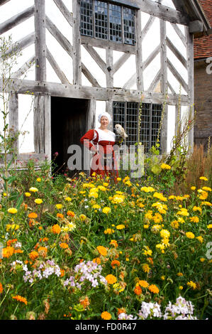 Lady holding millie the barn own in a falconry display at Mary Arden’s ...